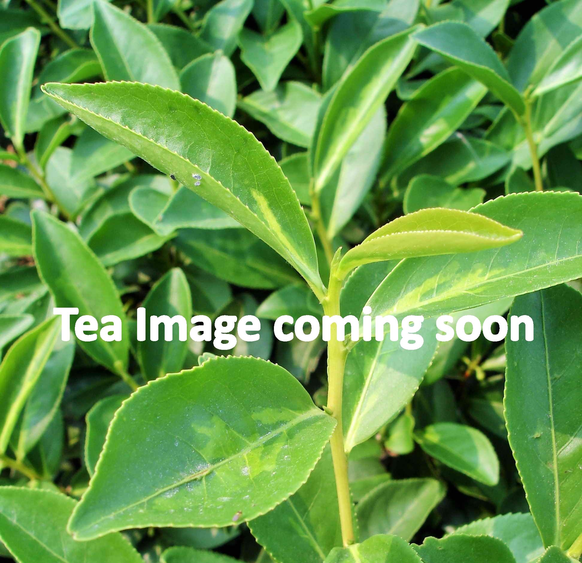 English Breakfast | India teas